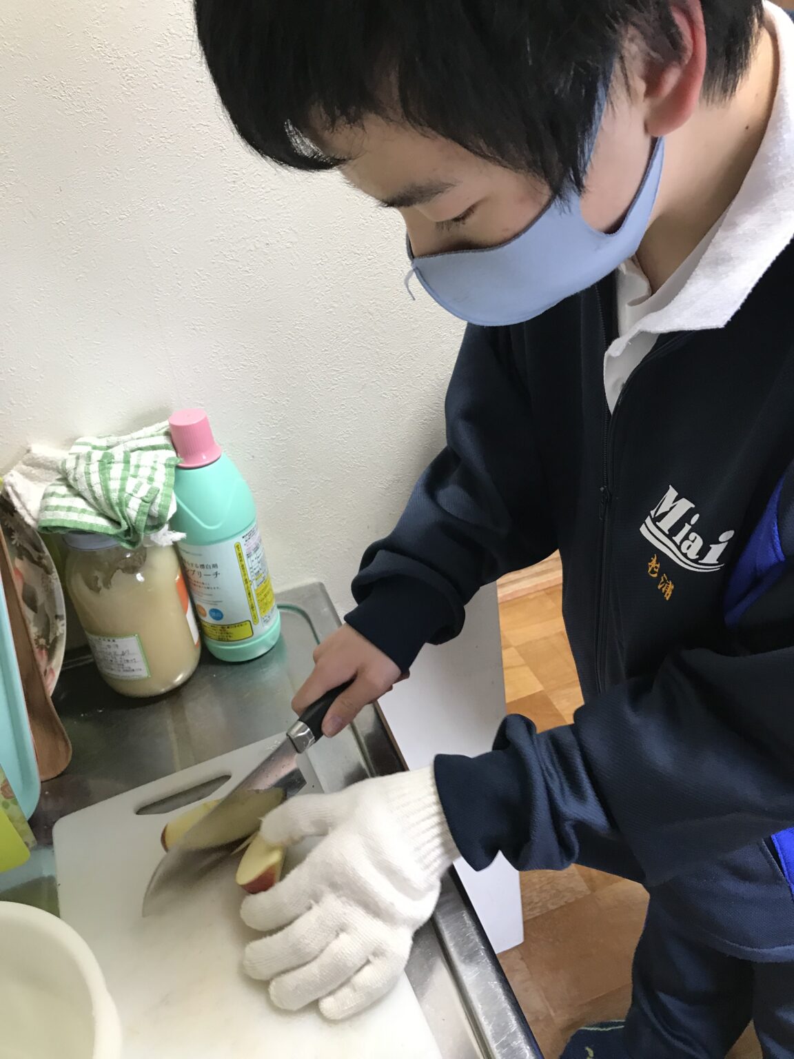 【支援品】毎日くだもの200g運動 | 認定NPO法人葵風